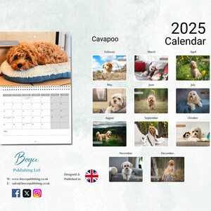 Cavapoo Calendar 2025: Monthly Wall Calendar With Notes, Opens to A3 ...