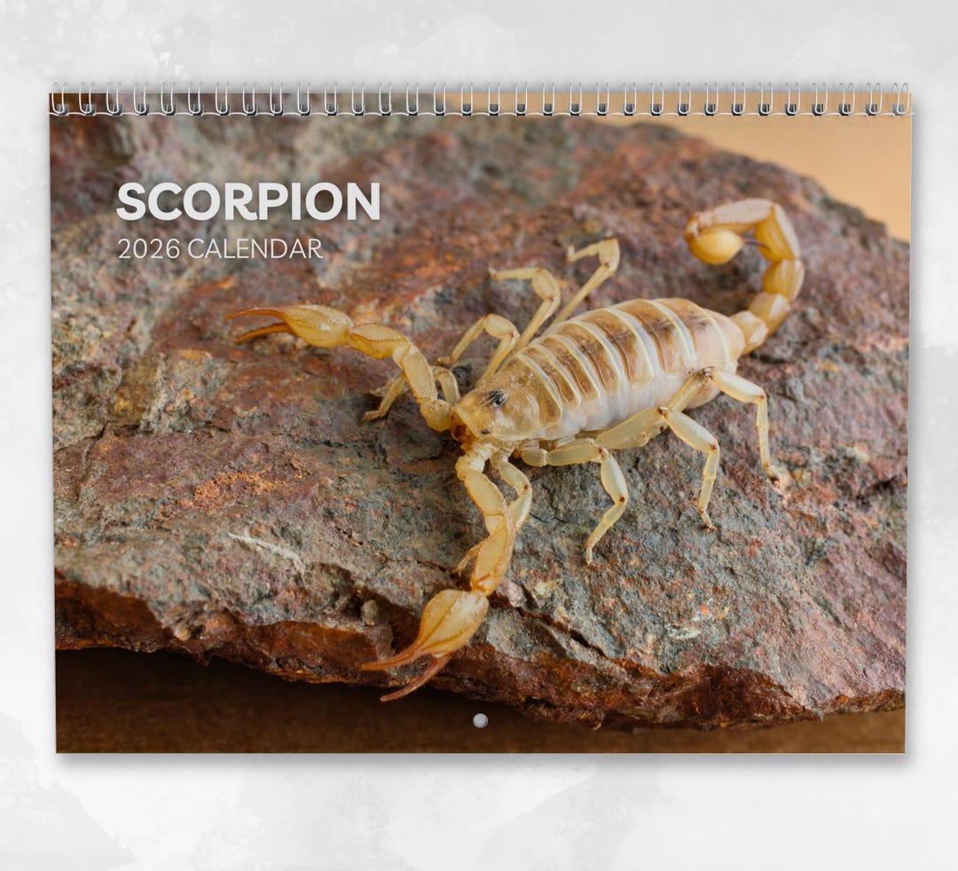 Scorpion Calendar 2026: Monthly Wall Calendar With Notes, Opens to A3 ...