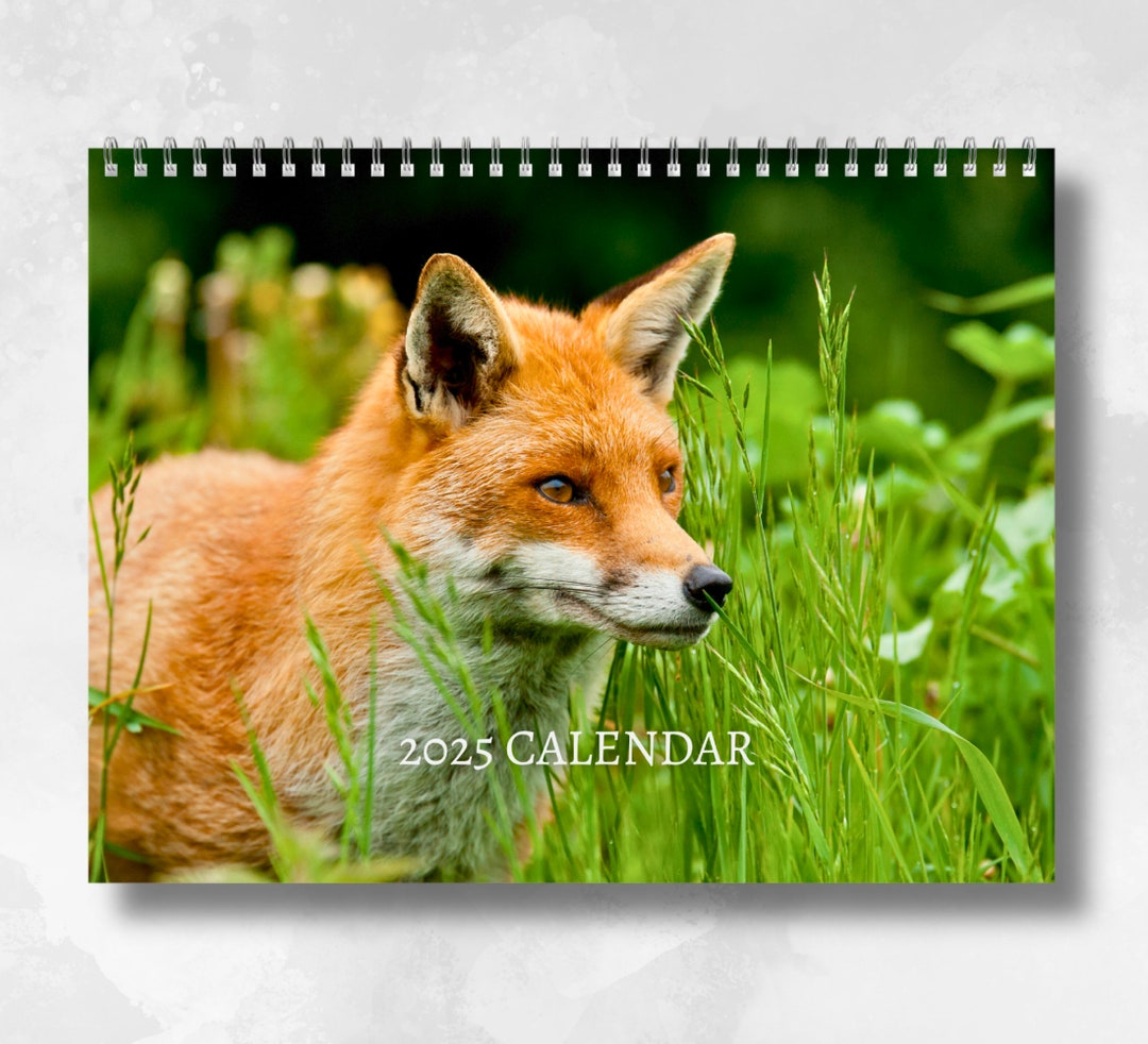 Fox Calendar 2025: Monthly Wall Calendar With Notes, Opens to A3 Size ...