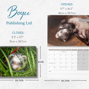 Ferret Calendar 2025: Monthly Wall Calendar, A4 | Hanging Calendar ...