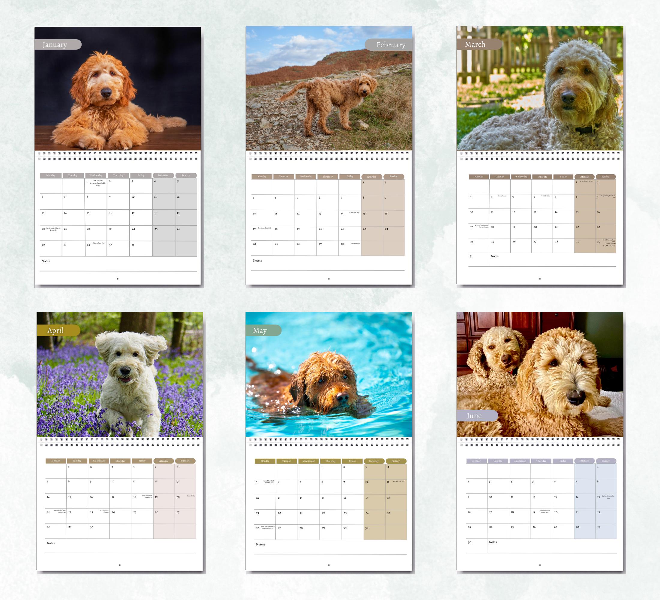 Goldendoodle Calendar 2026: Monthly Wall Calendar With Notes, Opens to ...