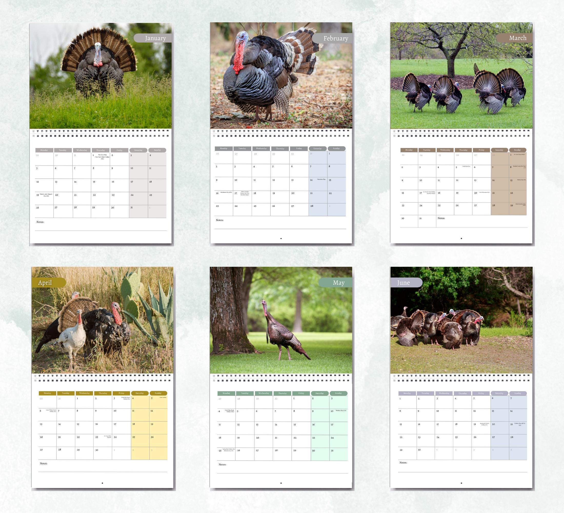 Wild Turkey Calendar 2026: Monthly Wall Calendar With Notes, Opens to ...