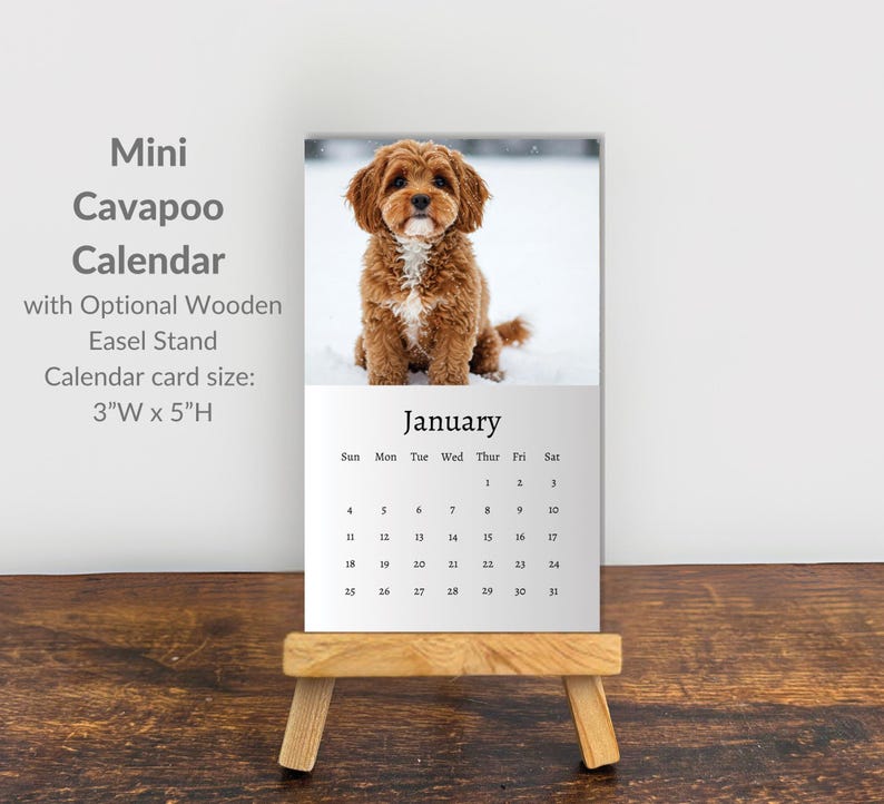 Cavapoo Calendar 2026: Mini Desk Calendar, Cavapoo Calendar 2026-2027 ...