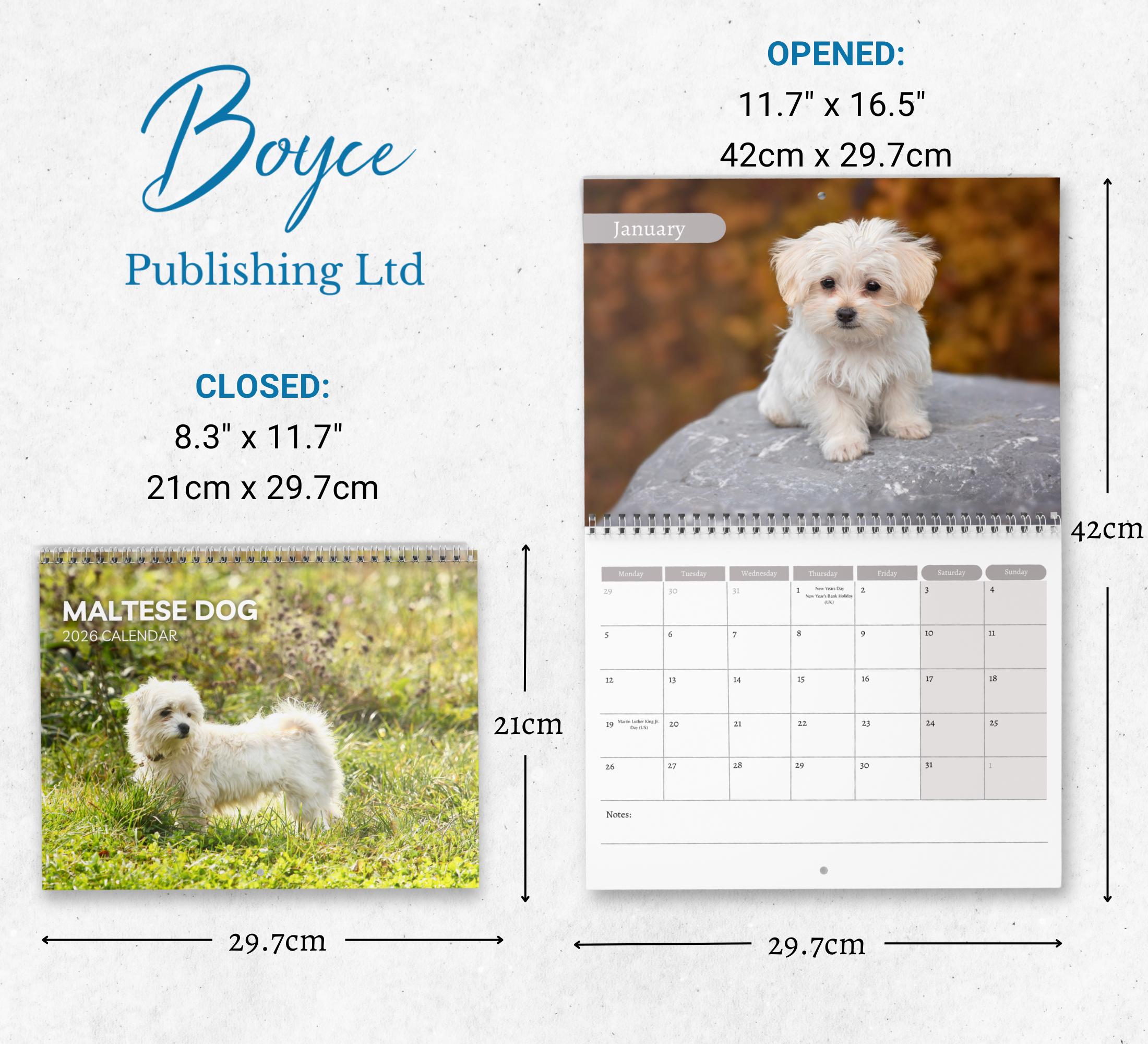 Maltese Dog Calendar 2026: Monthly Wall Calendar With Notes, Opens to ...
