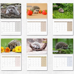 Hedgehog Calendar 2025: Monthly Wall Calendar With Notes, Opens to A3 ...