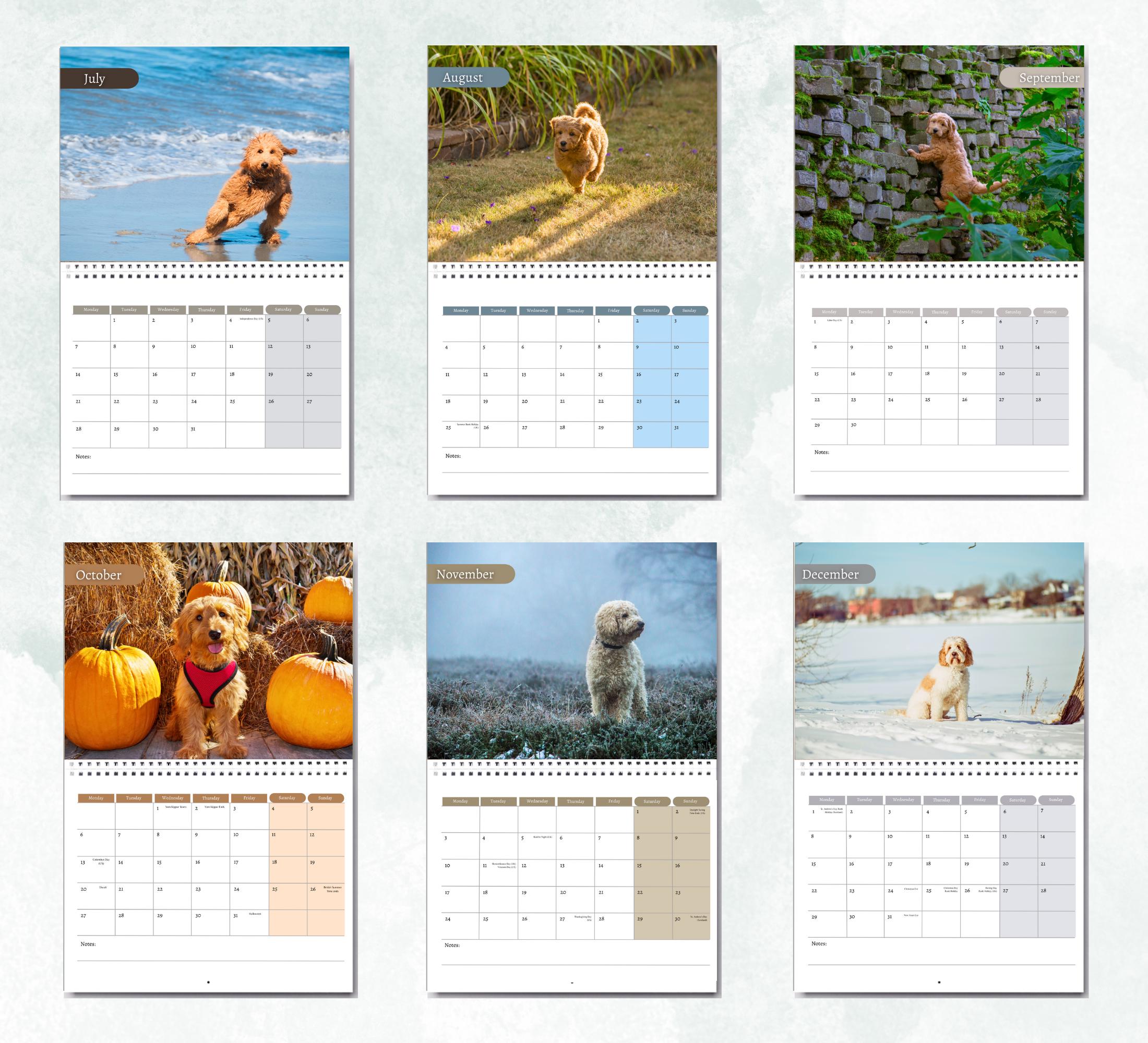 Goldendoodle Calendar 2026: Monthly Wall Calendar With Notes, Opens to ...