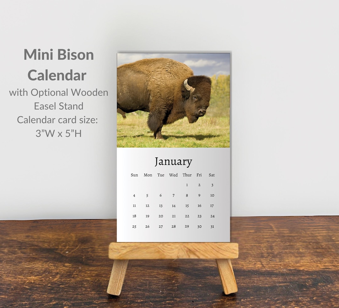 Bison Calendar 2026: Mini Desk Calendar, Bison Calendar 2026-2027 ...