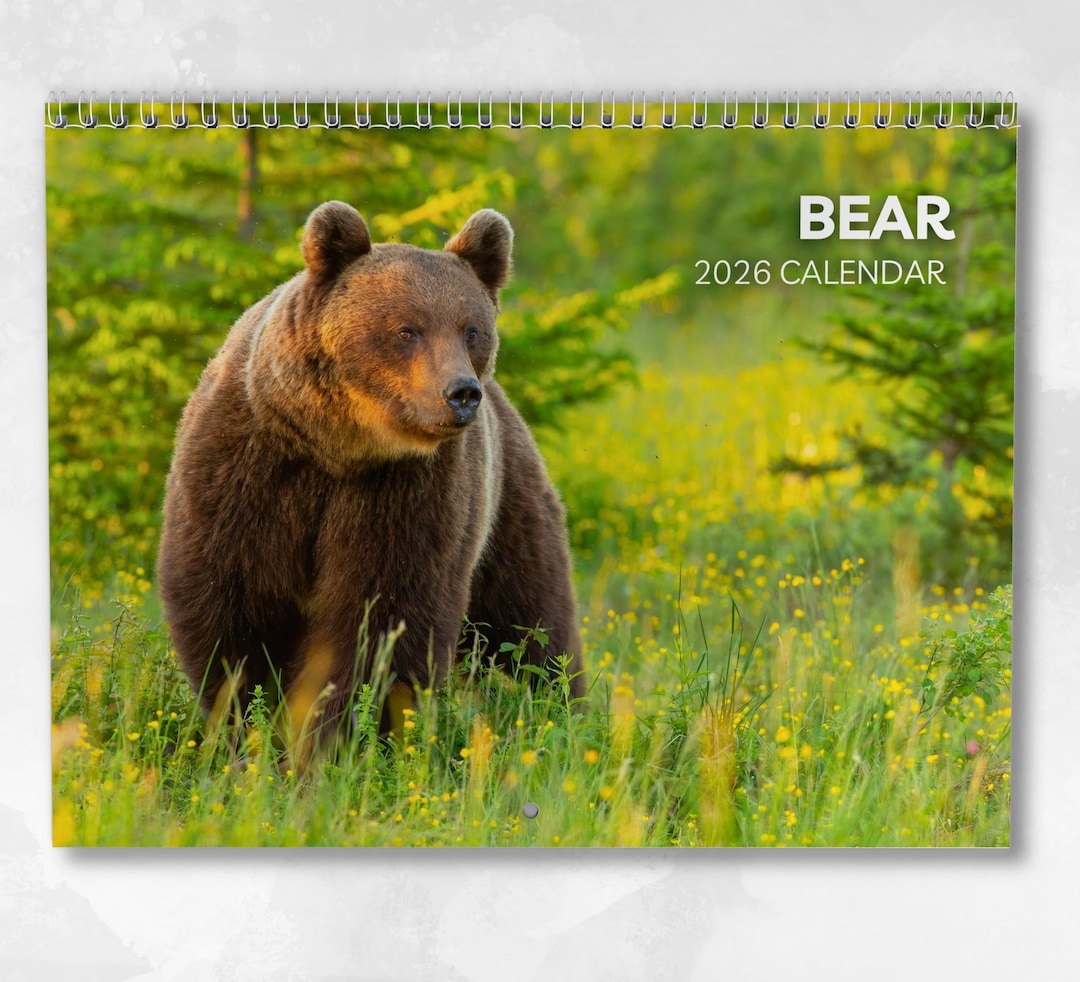 Bear Calendar 2026: Monthly Wall Calendar With Notes, Opens to A3 Size ...