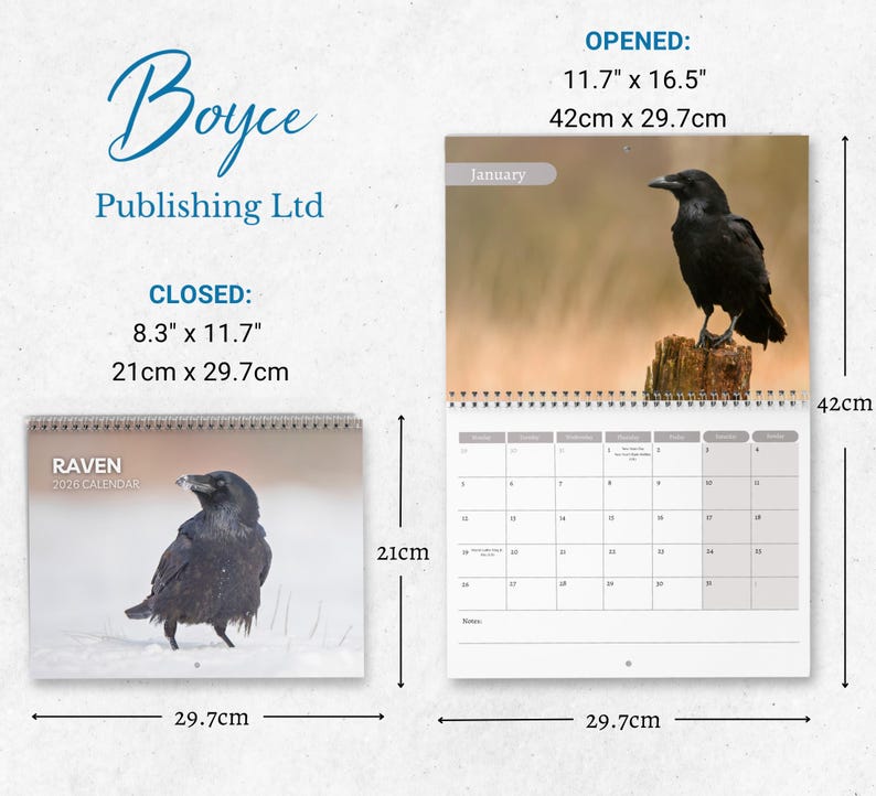Raven Calendar 2026: Monthly Wall Calendar With Notes, Opens to A3 Size ...