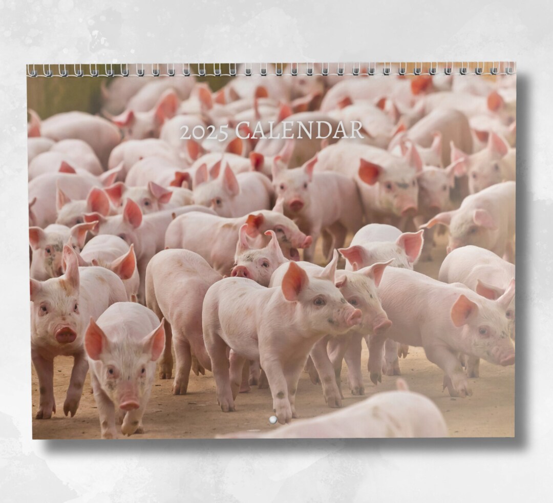 Pigs Calendar 2025: Monthly Wall Calendar With Notes, Opens to A3 Size ...