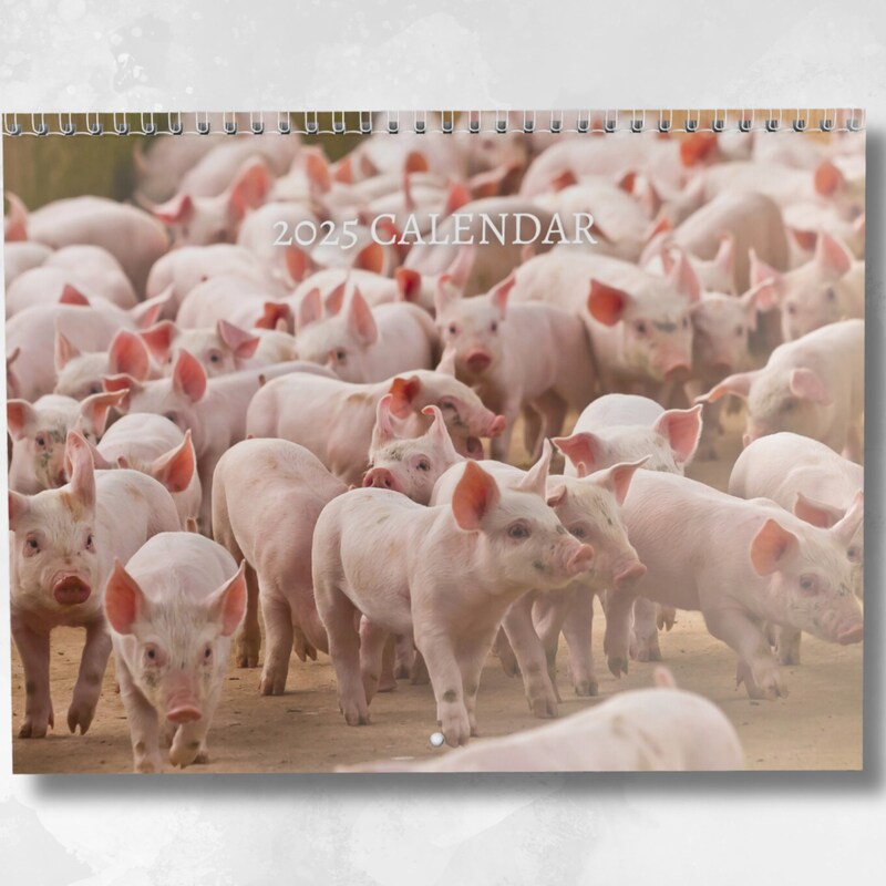 Pig Wall Hanging - Etsy