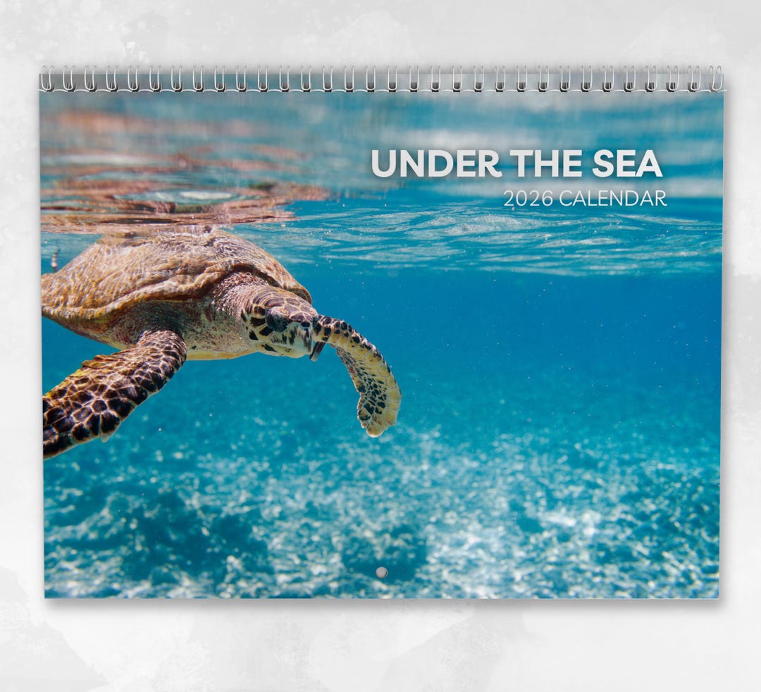 Under the Sea Calendar 2026: Monthly Wall Calendar With Notes, Opens to ...