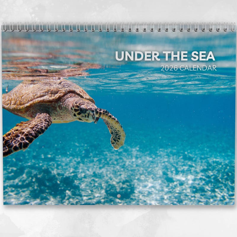 Calendars 2026 Ocean - Etsy UK
