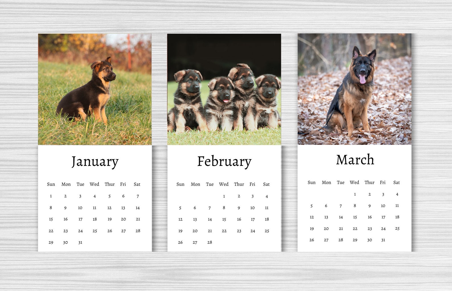 German Shepherd Calendar 2024 Mini Desk Calendar German - Etsy