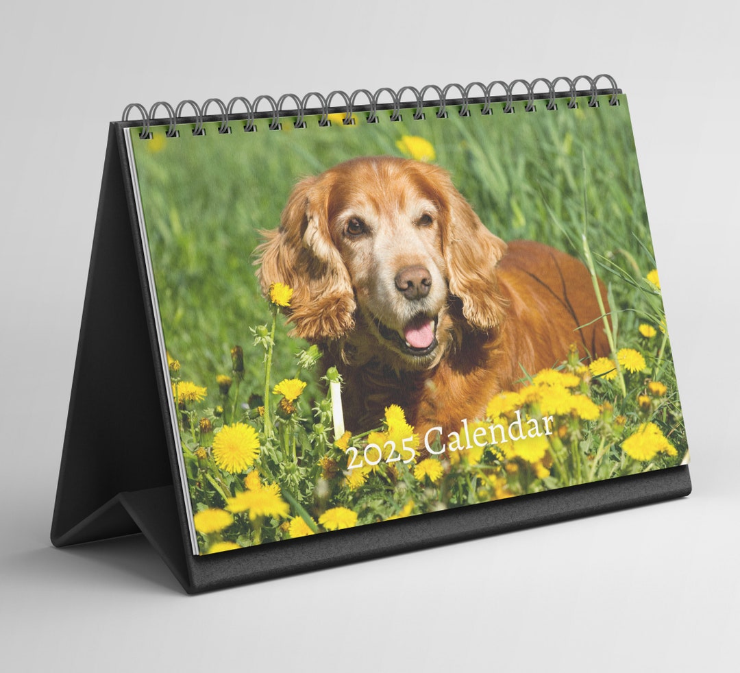 English Cocker Spaniel Desk Calendar 2025-2026: Standing Flip Desktop ...