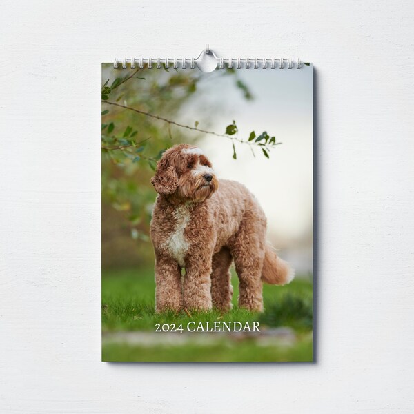 Labradoodle Gift - 60+ Gift Ideas for 2023
