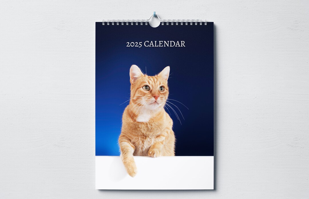Ginger Cat Calendar 2025: Monthly Wall Calendar With Notes, Hanging A4 ...