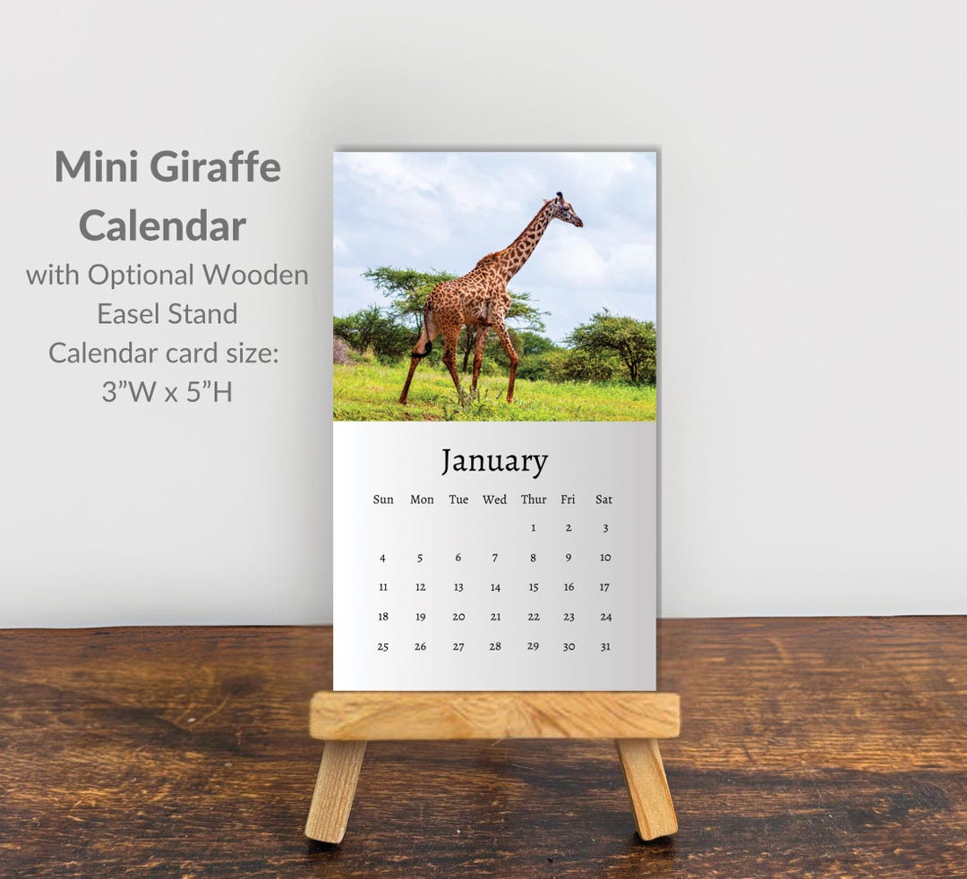 Giraffe Calendar 2026: Mini Desk Calendar, Giraffe Calendar 2026-2027 ...