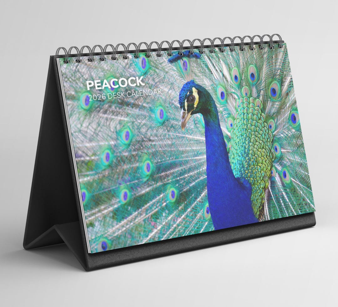 Peacock Desk Calendar 2026-2027: Standing Flip Desktop Calendar With ...