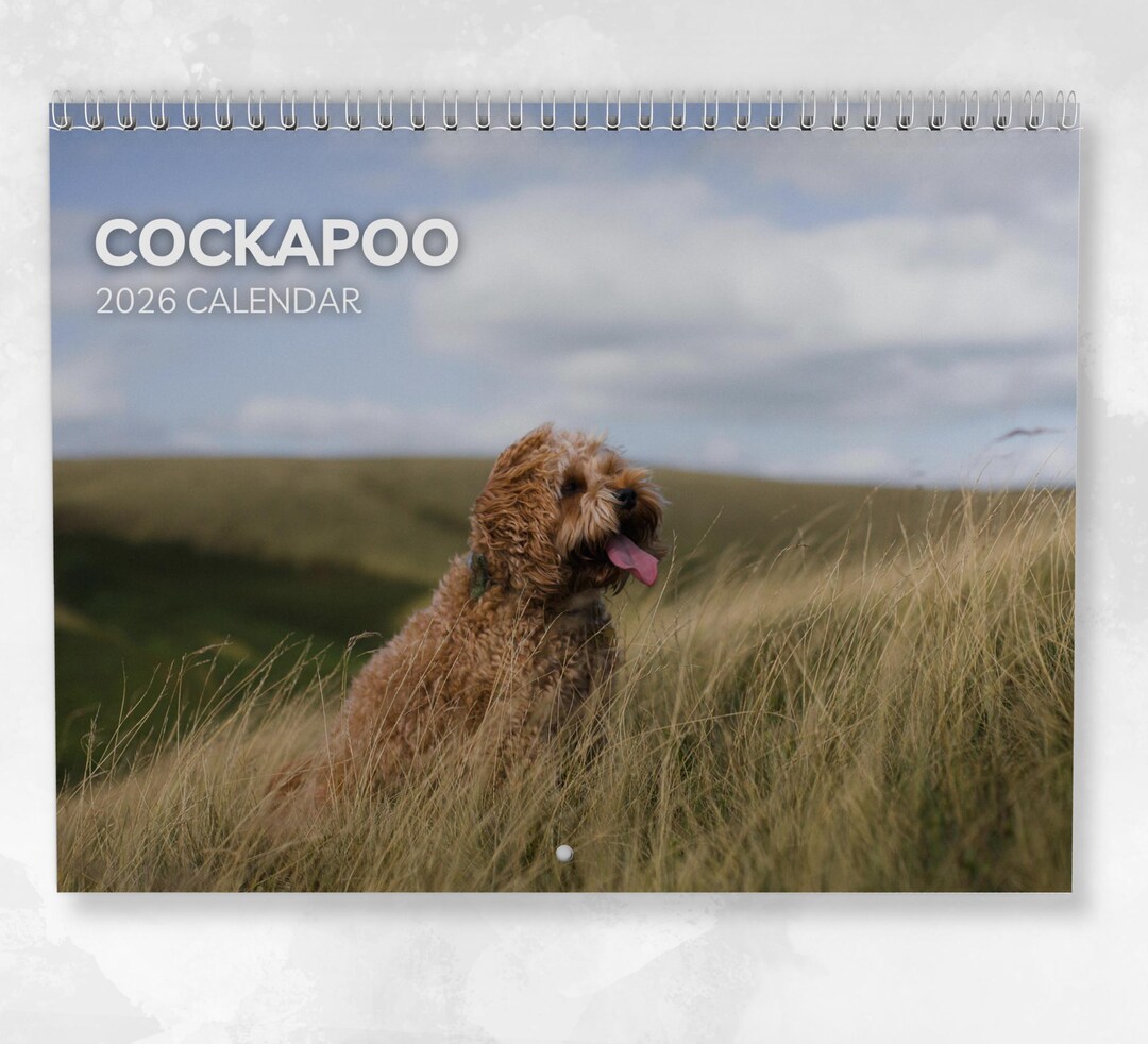 Cockapoo Calendar 2026: Monthly Wall Calendar With Notes, Opens to A3 ...