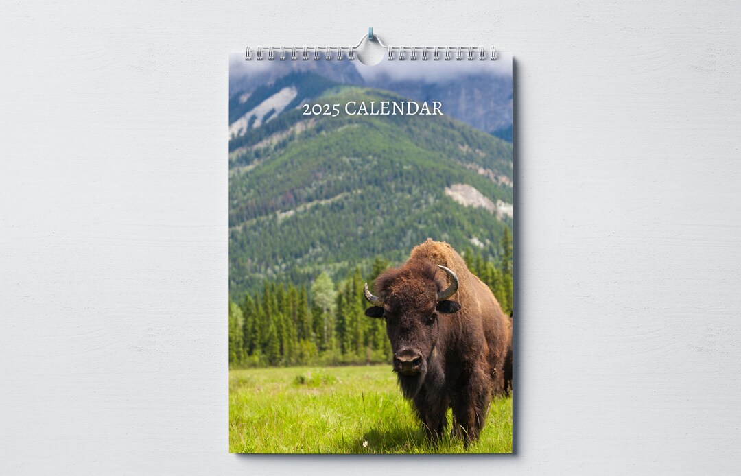 Bison Calendar 2025: Monthly Wall Calendar With Notes, Hanging A4 Size ...