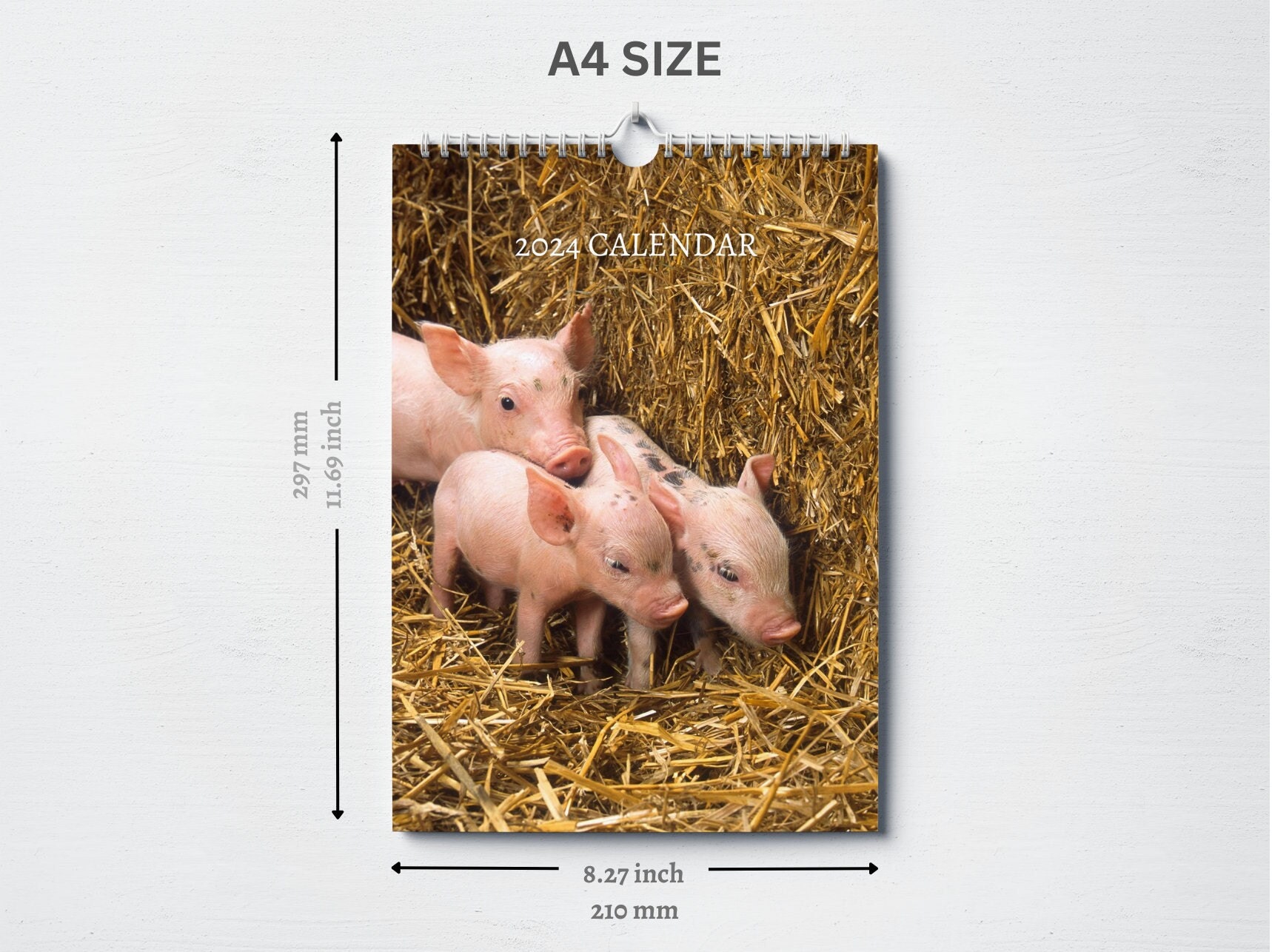 Pigs Calendar 2024 Monthly Wall Calendar, A4 Hanging Calendar Perfect ...