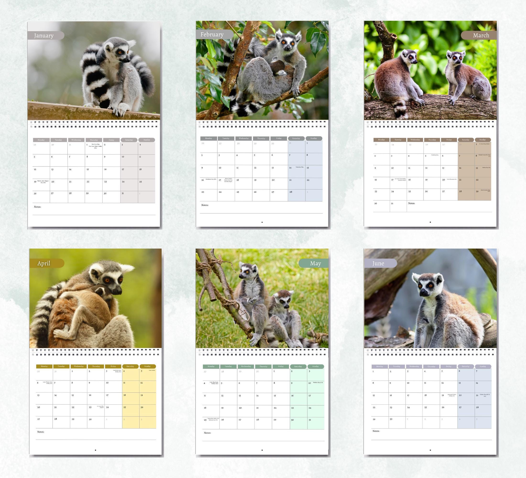 Lemur Calendar 2026: Monthly Wall Calendar With Notes, Opens to A3 Size ...