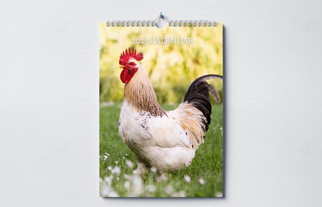 Chicken Calendar 2025: Monthly Wall Calendar With Notes, Hanging A4 ...