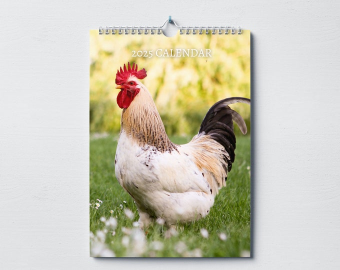 Chicken Calendar 2025: Monthly Wall Calendar With Notes, Hanging A4 ...