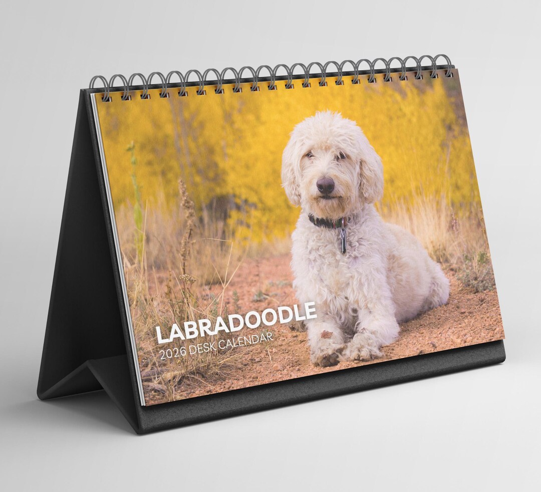 Labradoodle Desk Calendar 2026-2027: Standing Flip Desktop Calendar ...