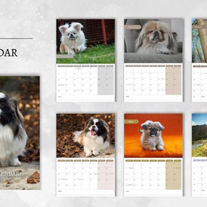 Pekingese Calendar 2025: Monthly Wall Calendar With Notes, Hanging A4 ...