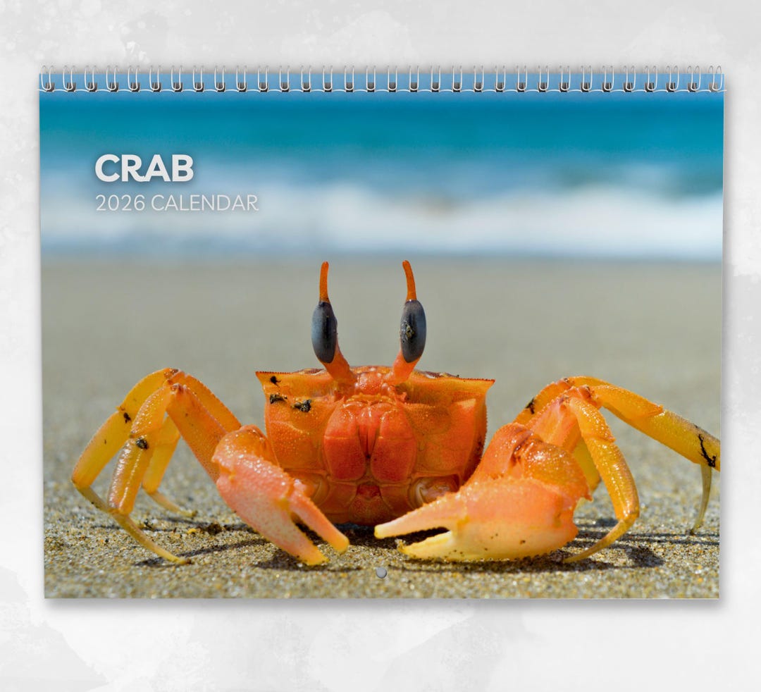 Crab Calendar 2026: Monthly Wall Calendar With Notes, Opens to A3 Size ...