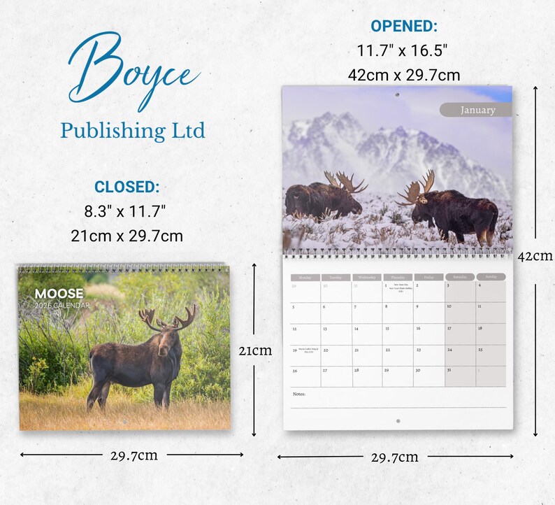 Moose Calendar 2026: Monthly Wall Calendar With Notes, Opens to A3 Size ...
