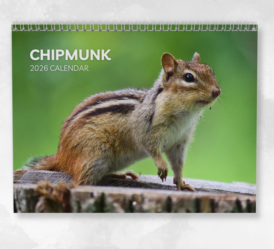 Chipmunk Calendar 2026: Monthly Wall Calendar With Notes, Opens to A3 ...