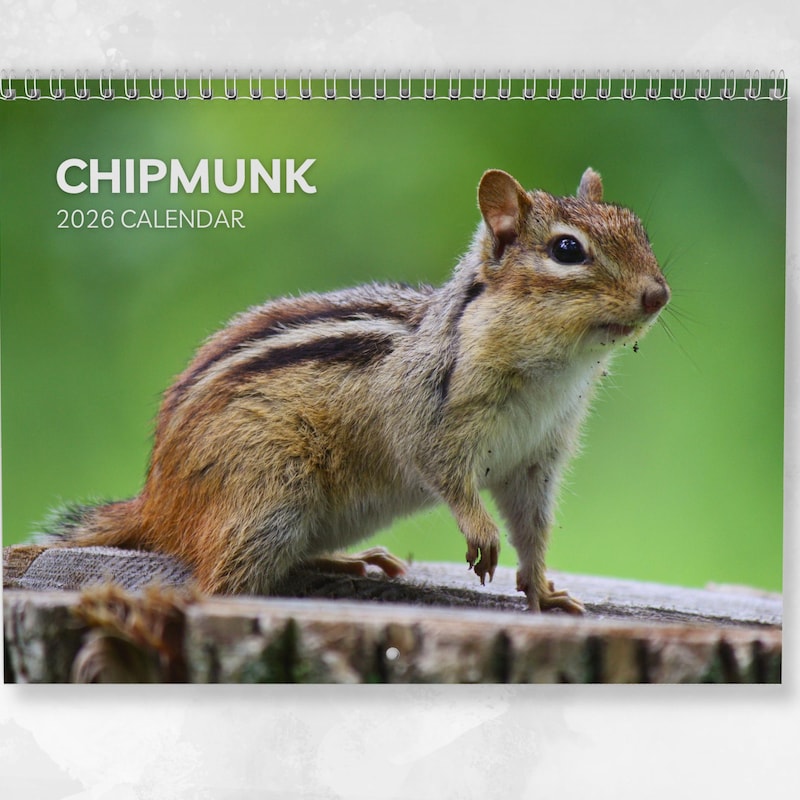 Chipmunks Christmas Music - Etsy