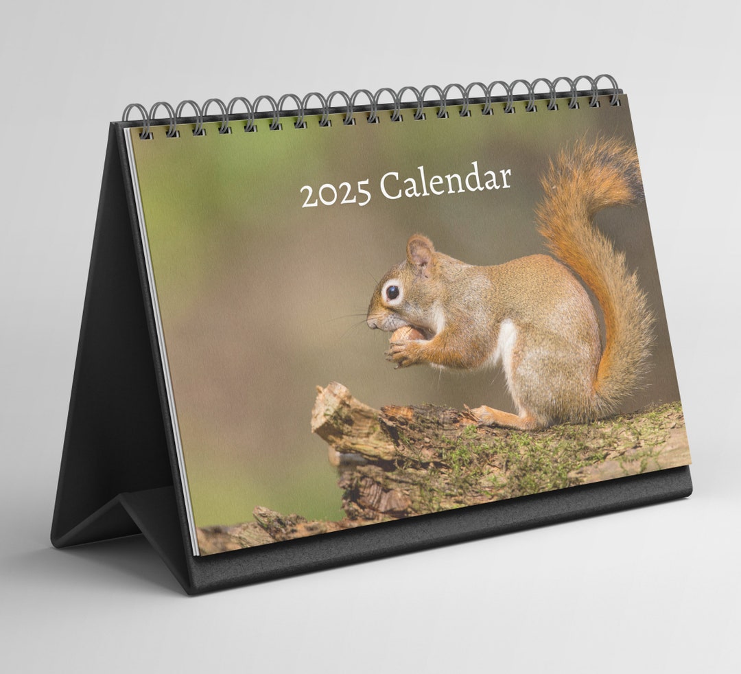 Squirrel Desk Calendar 2025-2026: Standing Flip Desktop Calendar With ...