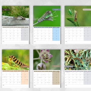 Caterpillar Calendar 2025: Monthly Wall Calendar With Notes, Hanging A4 ...