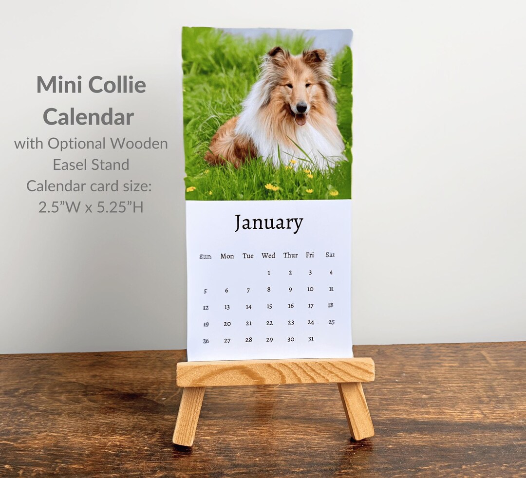 Collie Calendar 2025: Mini Desk Calendar, Collie Calendar 2025-2026 ...