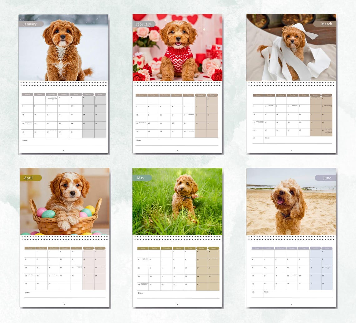 Cavapoo Calendar 2026: Monthly Wall Calendar With Notes, Opens to A3 ...