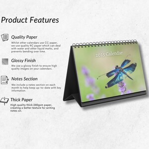 Dragonfly Desk Calendar 2025-2026: Standing Flip Desktop Calendar With ...