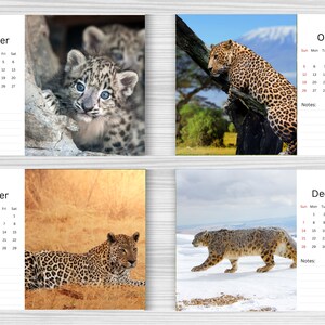 Leopard Desk Calendar 2025-2026: Standing Flip Desktop Calendar With ...