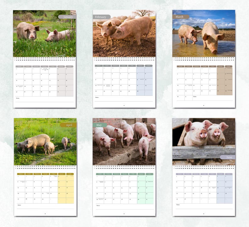 Pigs Calendar 2026: Monthly Wall Calendar With Notes, Opens to A3 Size ...