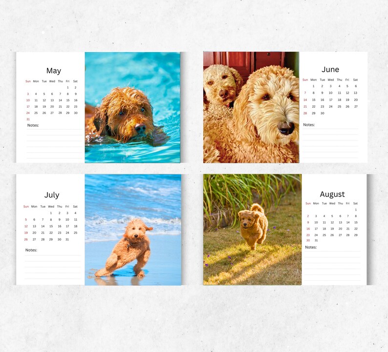 Goldendoodle Desk Calendar 2026-2027: Standing Flip Desktop Calendar ...