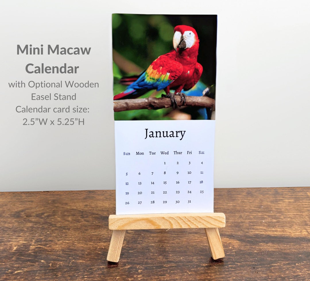 Macaw Calendar 2025: Mini Desk Calendar, Macaw Calendar 2025-2026 ...
