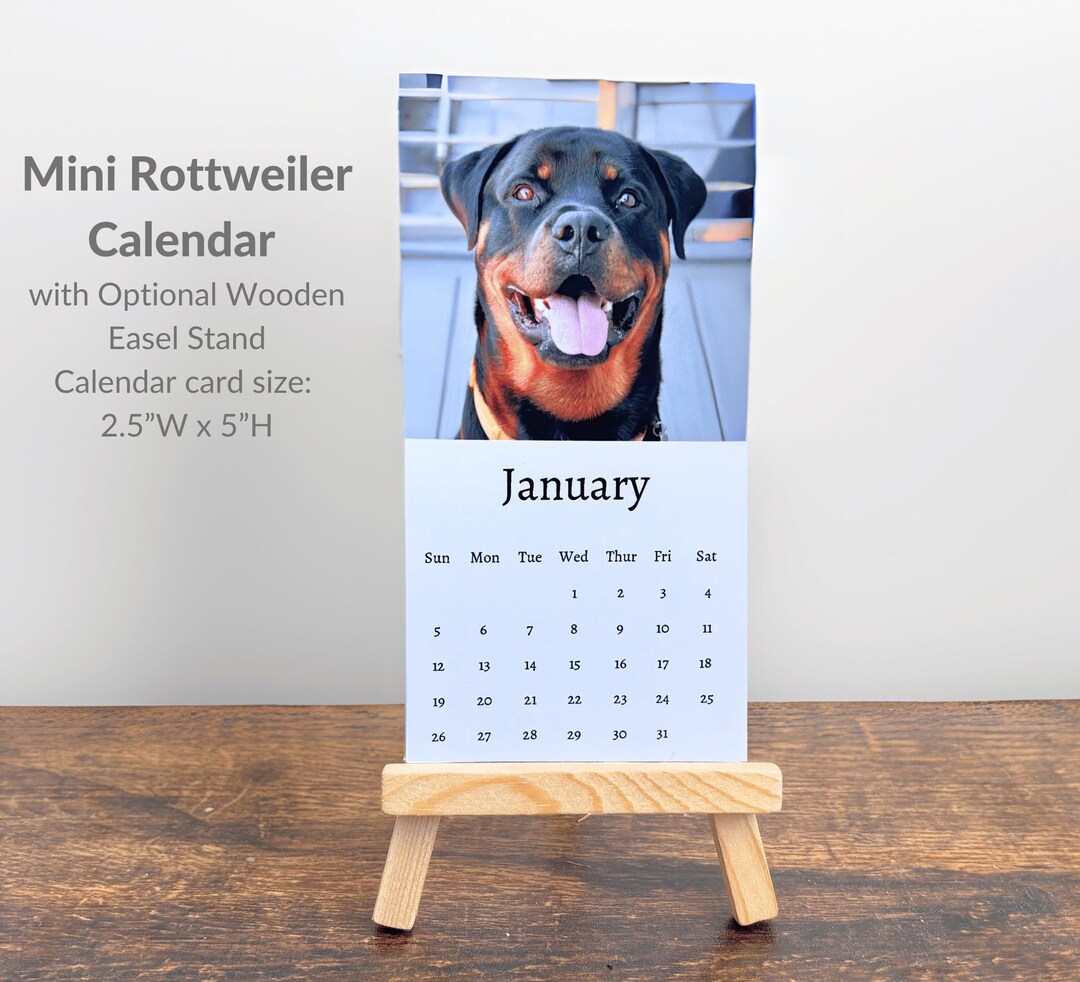 Rottweiler Calendar 2025: Mini Desk Calendar, Rottweiler Calendar 2025 ...