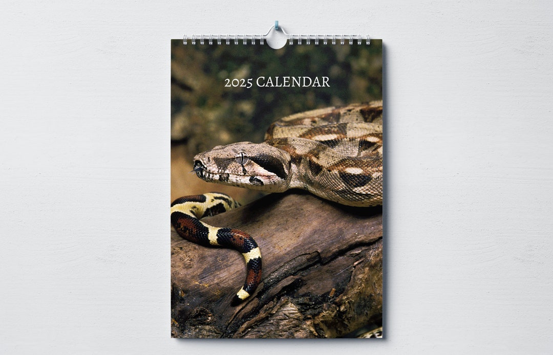 Snake Calendar 2025: Monthly Wall Calendar With Notes, Hanging A4 Size ...