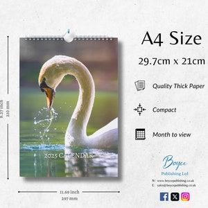 Swan Calendar 2025: Monthly Wall Calendar With Notes, Hanging A4 Size ...