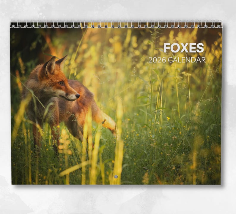 Foxes Calendar 2026: Monthly Wall Calendar With Notes, Opens to A3 Size ...