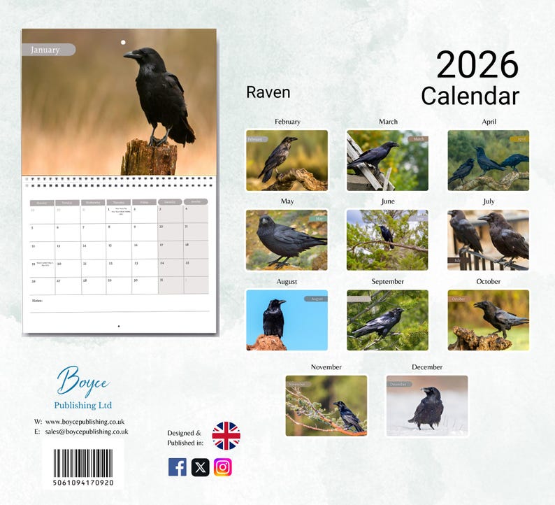 Raven Calendar 2026: Monthly Wall Calendar With Notes, Opens to A3 Size ...