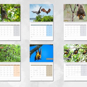 Bat Calendar 2025: Monthly Wall Calendar With Notes, Opens to A3 Size ...
